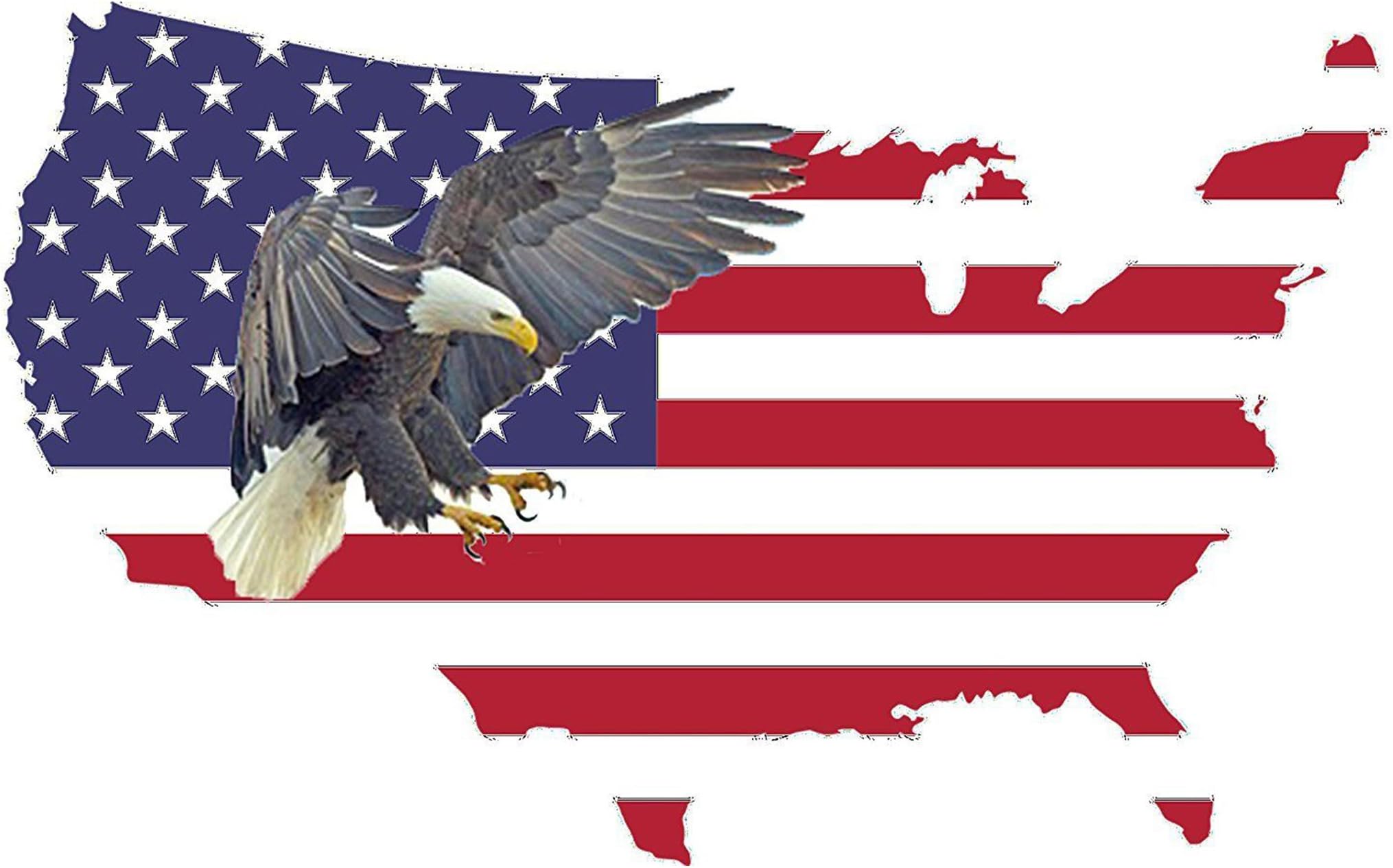 Amazon.com: Generic 2 Pack American Bald Eagle Car Decal Sticker, 7.08 ...
