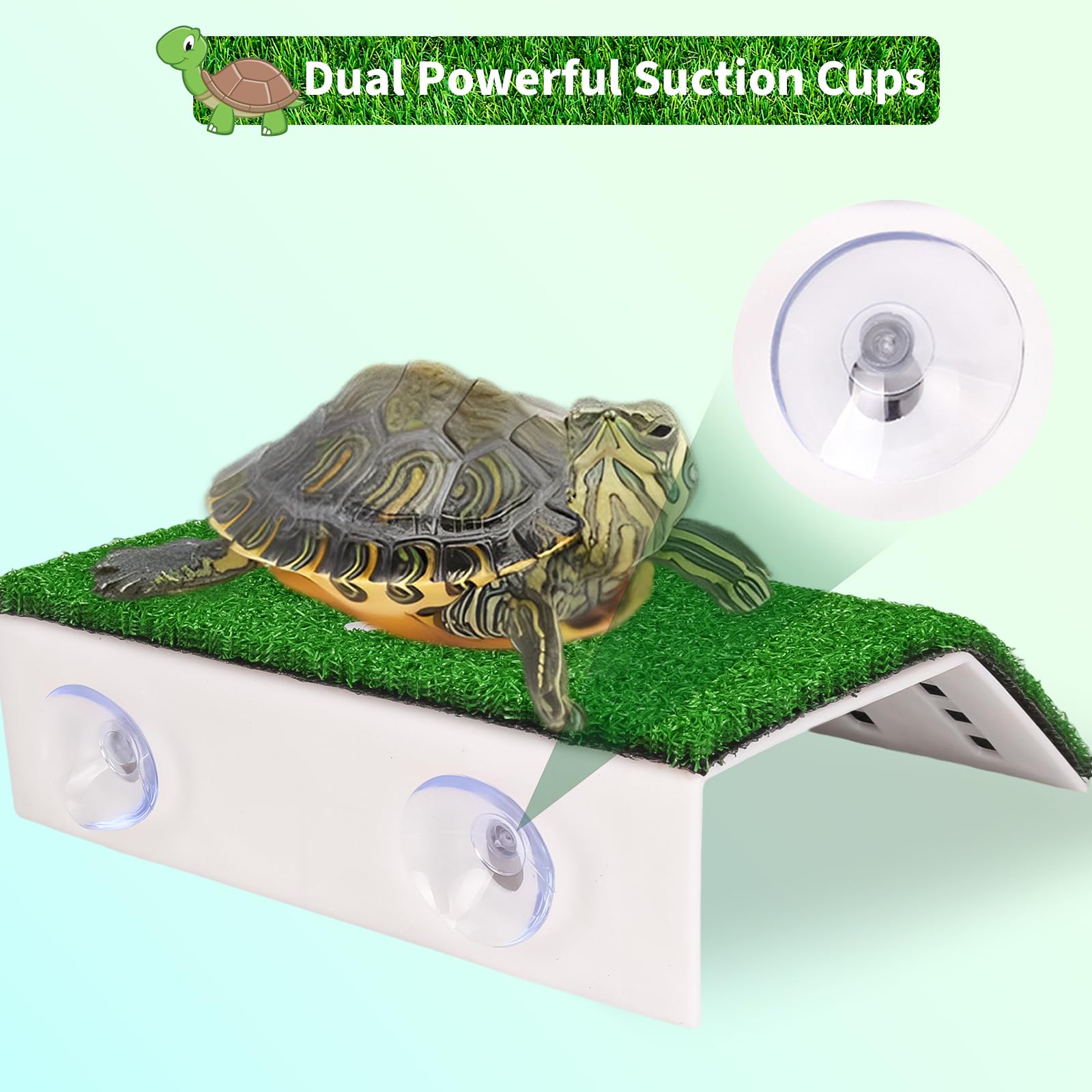 Snapklik.com : Lawn Basking Platform For Turtles, Simulated Grass ...
