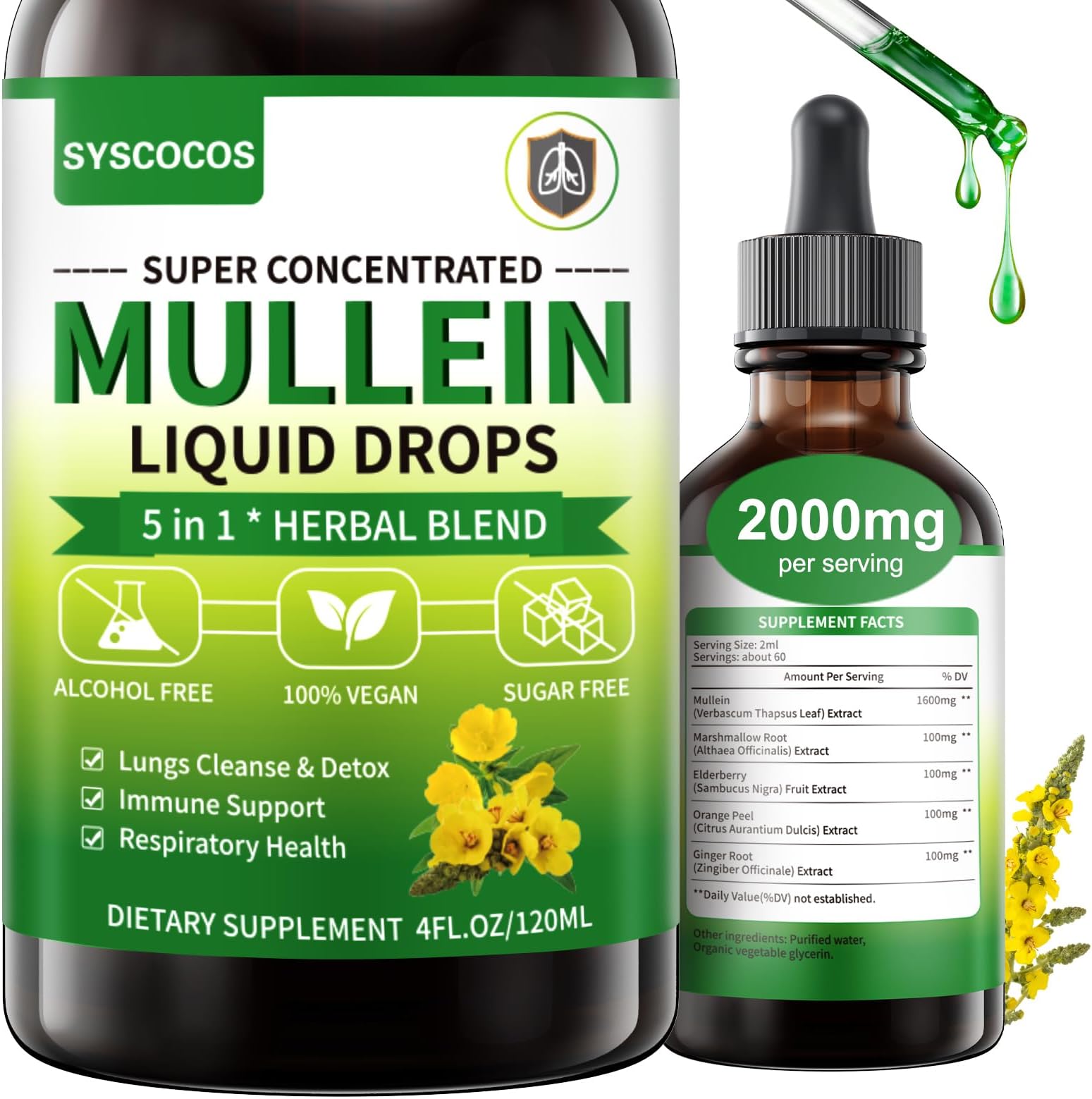 Amazon.com: 5-in-1 Mullein Drops for Lungs - Mullein Leaf Extract for ...