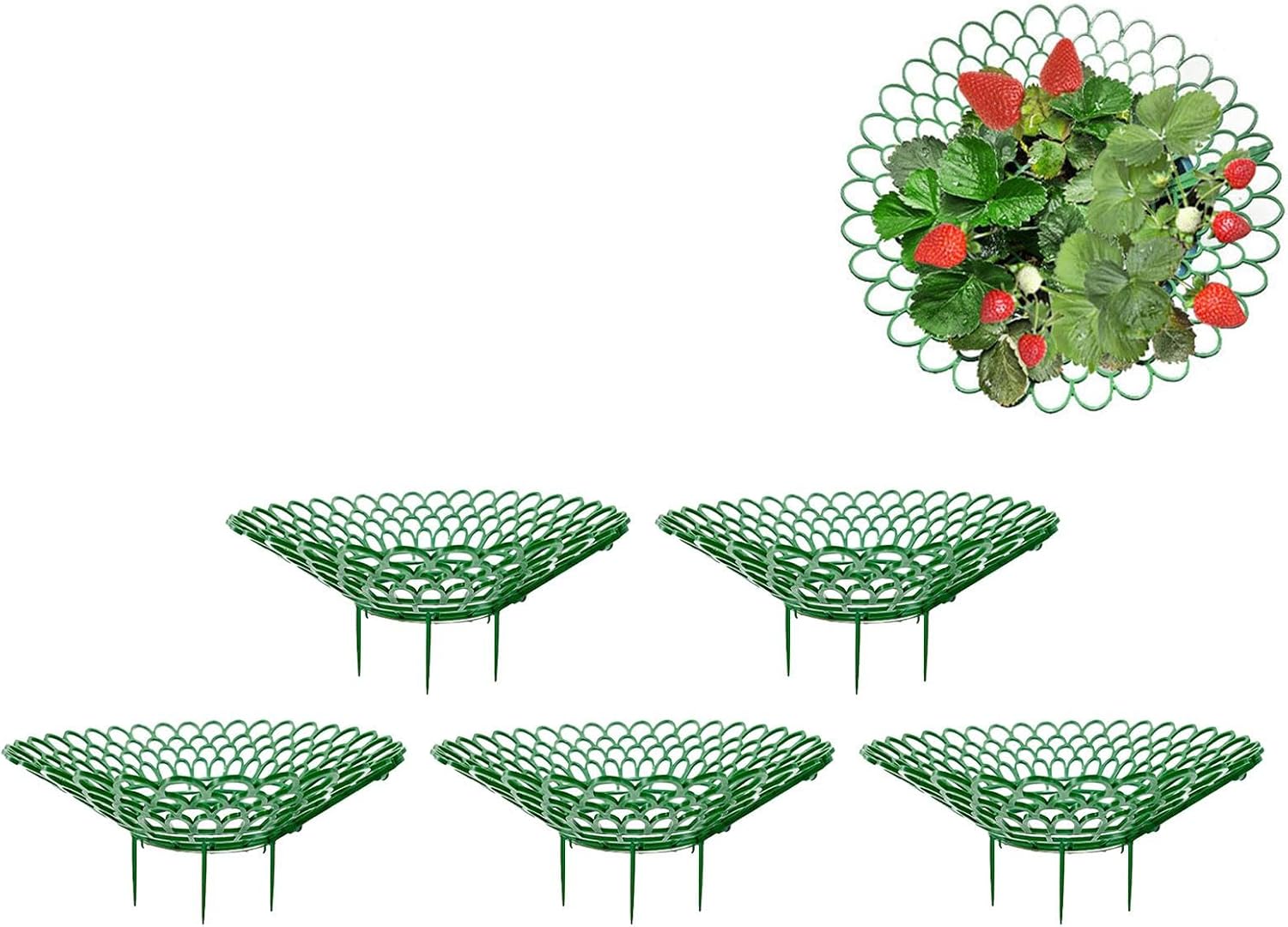 BommFu Strawberry Plant Support Stand Strawberry | 10 Strawberry Frame ...