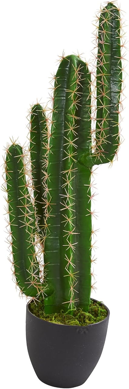Amazon.com: Nearly Natural 3' Cactus Artificial Plant, Green 2.5ft ...