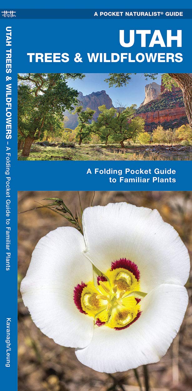 Utah Trees & Wildflowers: A Folding Pocket Guide to Familiar Plants ...