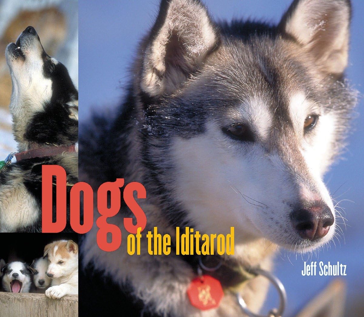 Amazon.com: Dogs of the Iditarod: 9781570612923: Schultz, Jeff: Books