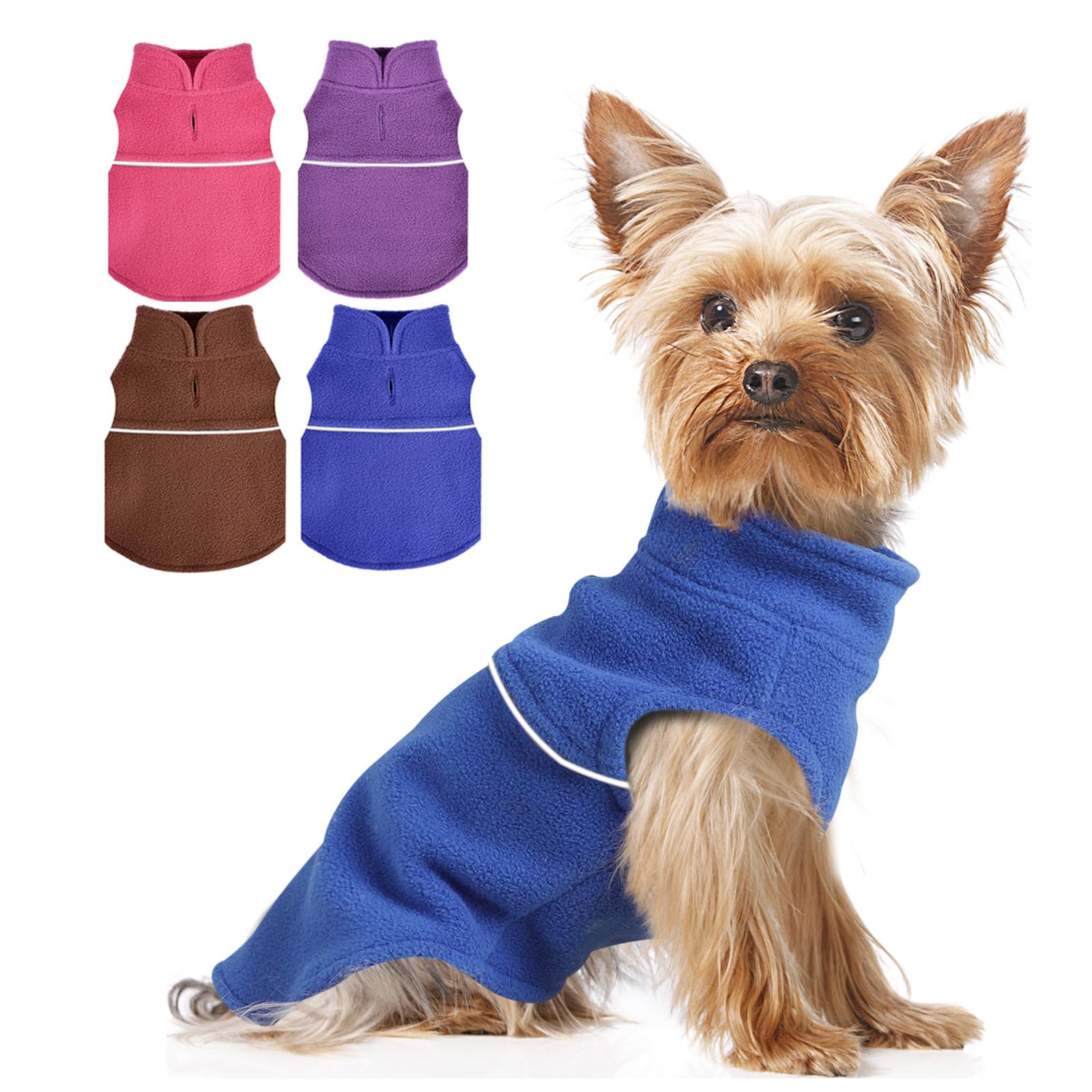 Boy Teacup Yorkie Clothes