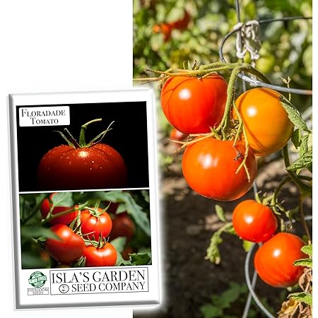 Amazon.com : Floradade Tomato Seeds for Planting, 300+ Heirloom Seeds ...