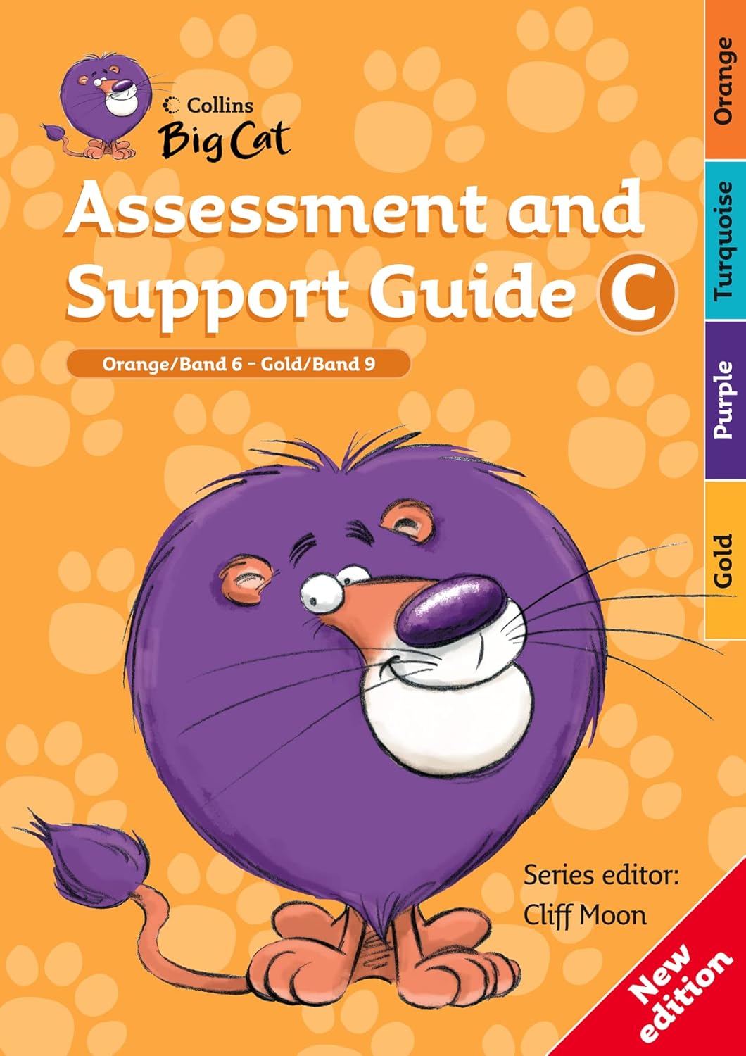 Assessment and Support Guide C: Practical teaching and planning support ...