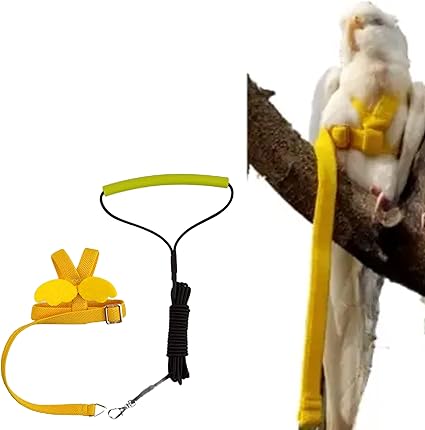 Amazon.com : Pet Parrot Bird Harness Leash Adjustable Bird Flying ...