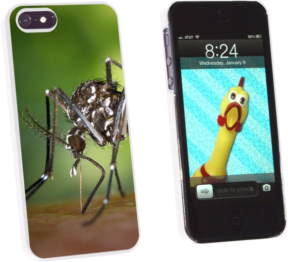 Amazon.com: Graphics and More Asian Tiger Mosquito Bug - Snap-On Hard ...