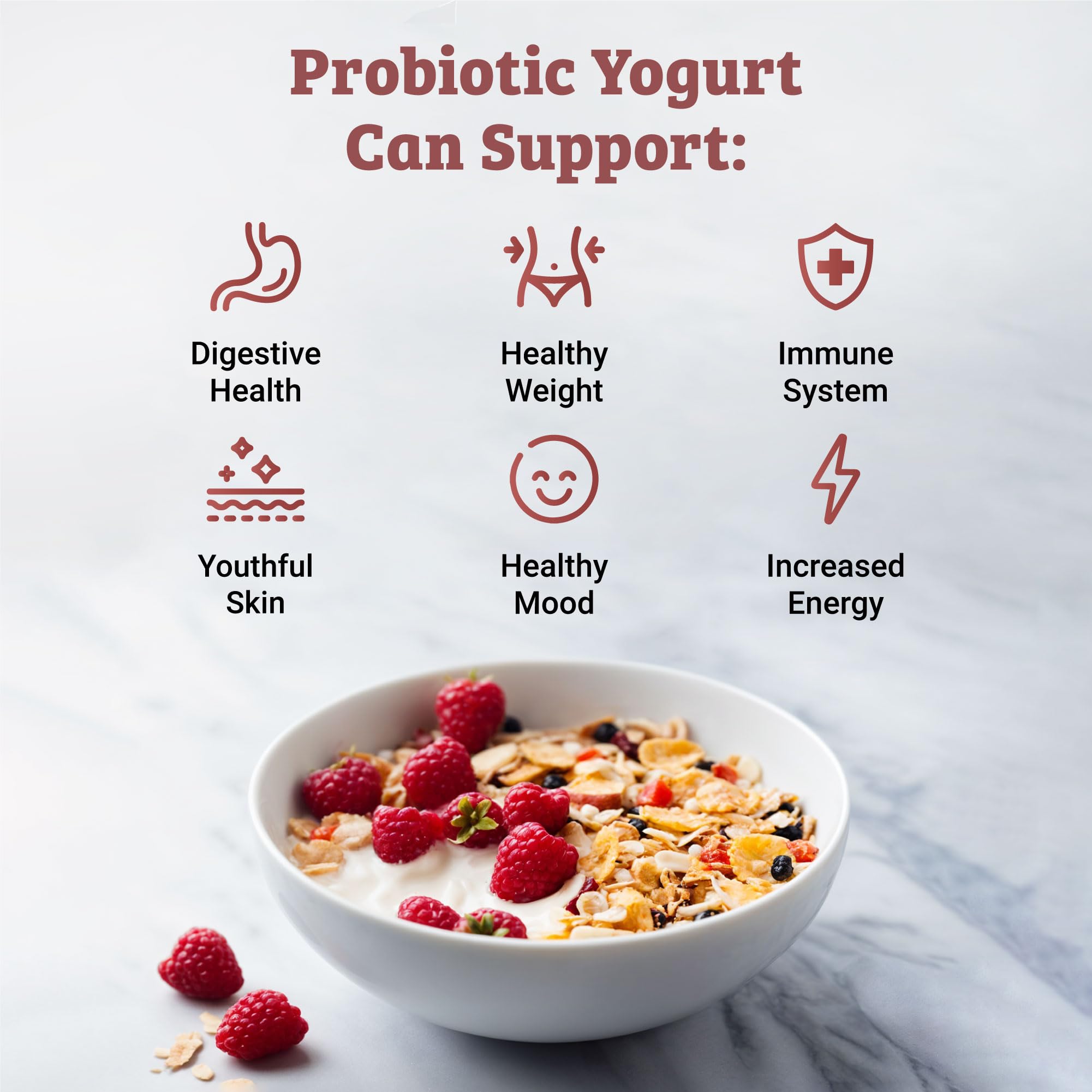 Snapklik.com : Ultimate Probiotic Yogurt Maker