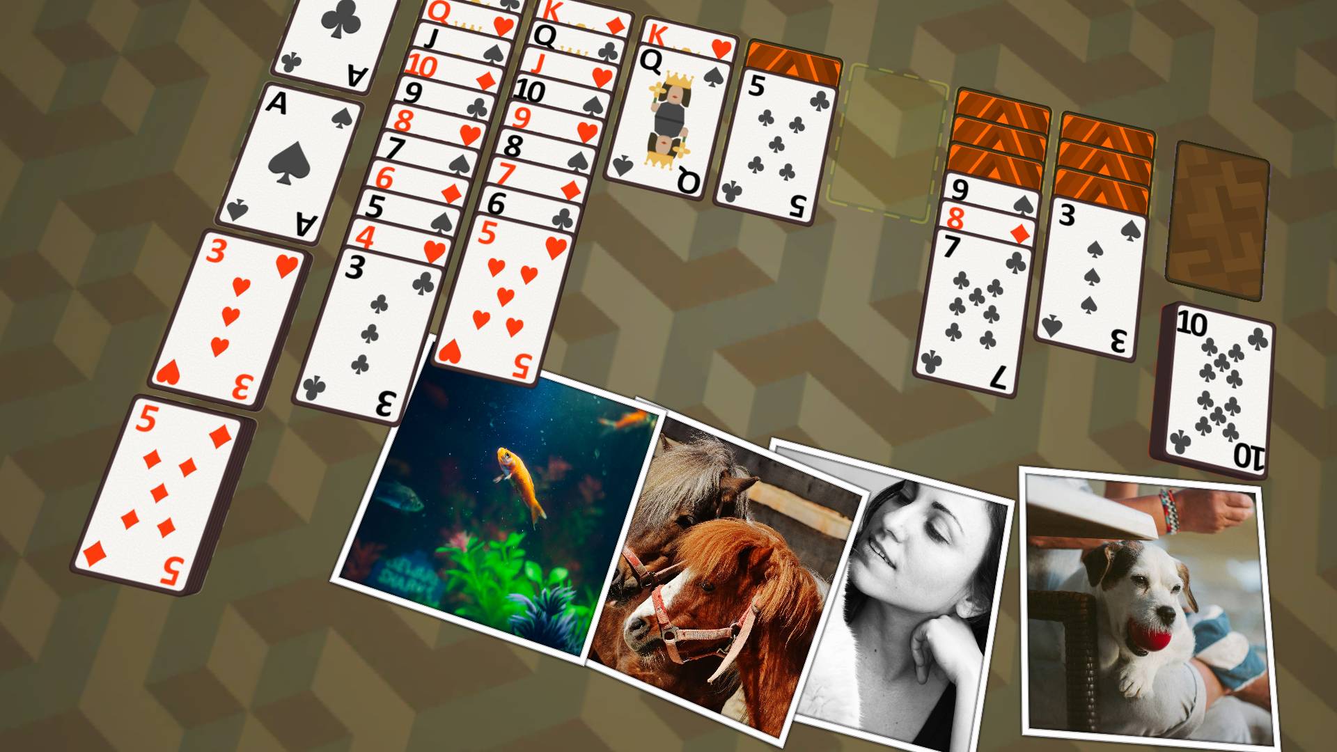 Solitaire Pets TV - App on Amazon Appstore