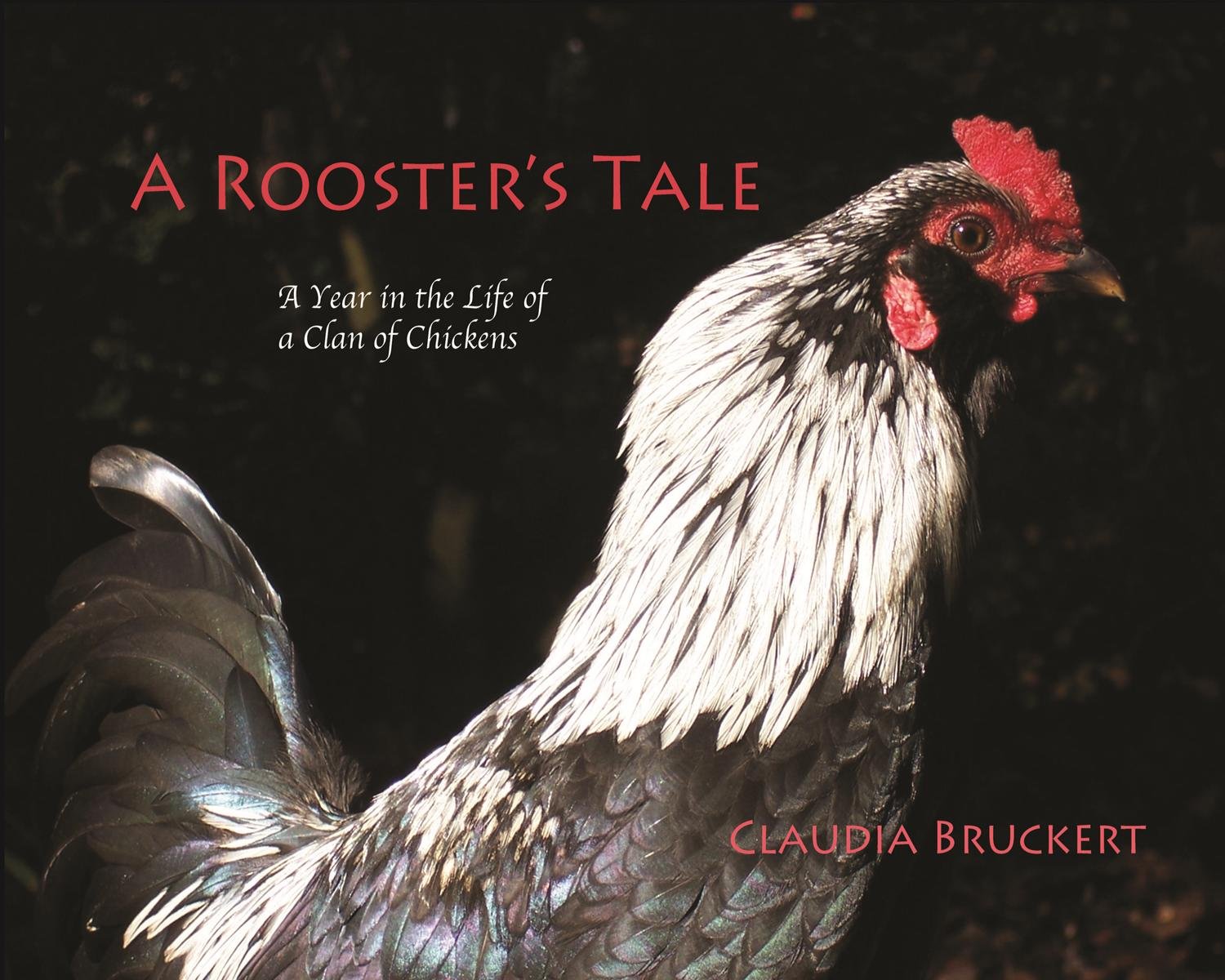 Amazon | A Rooster's Tale: A Year in the Life of a Clan of Chickens ...