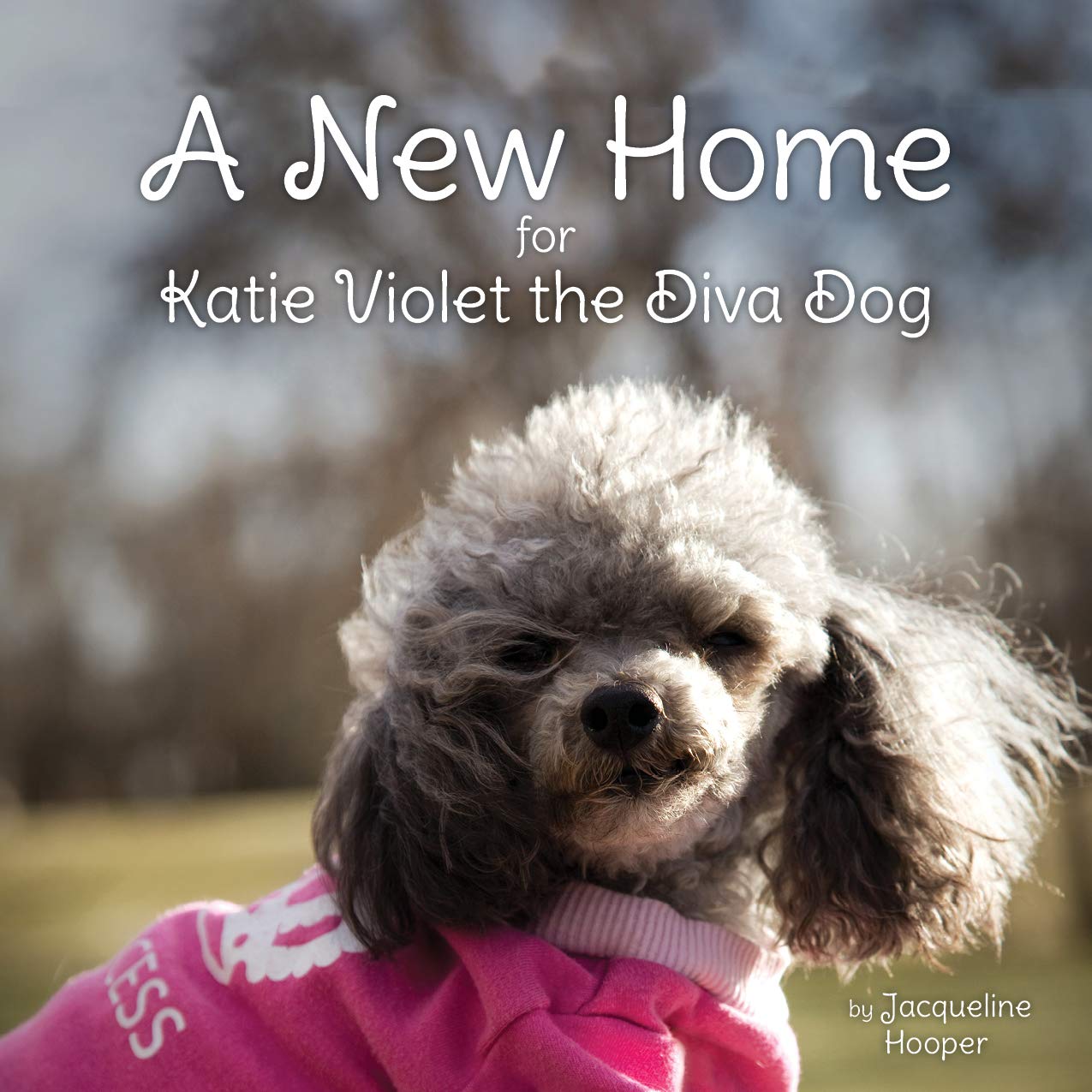 Amazon.com: A New Home for Katie Violet the Diva Dog eBook : Hooper ...