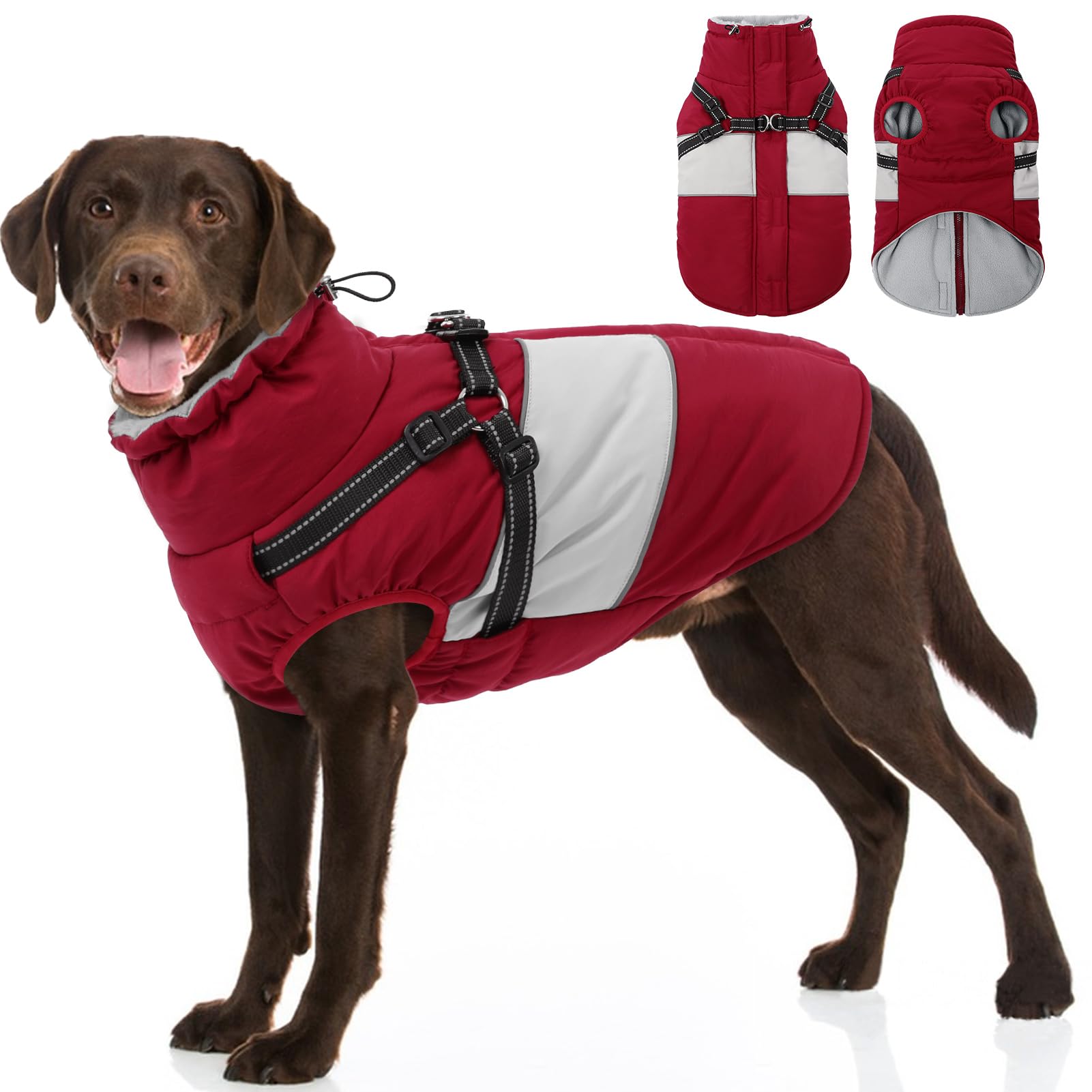 7 Best Dog Snowsuit With Legs | Complete Winter Leg Coverage