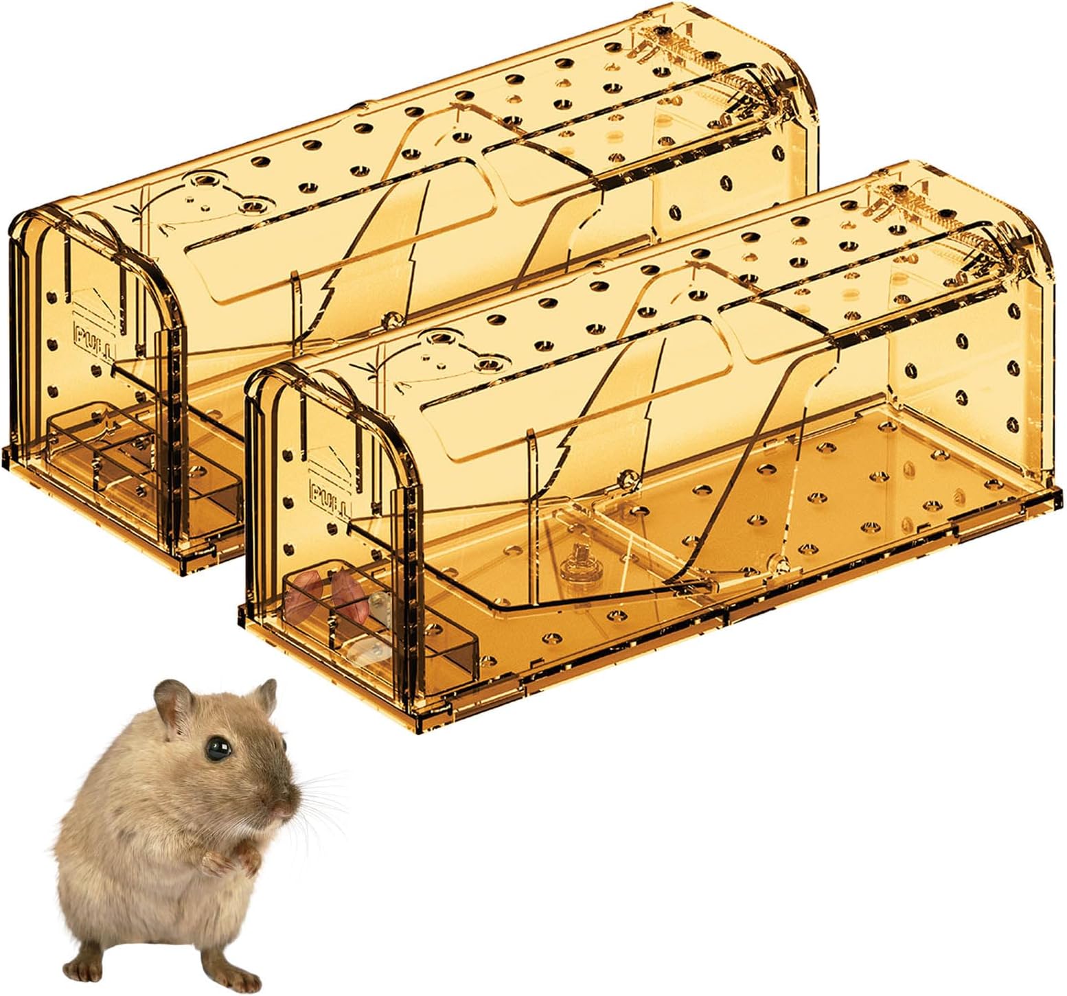 The Big Cheese Live Catch Mouse Trap, Humane, Baited and Ready-To-Use ...
