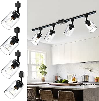 VINLUZ 4 Light Bathroom Vanity Track Lighting Kit with Black Finish ...