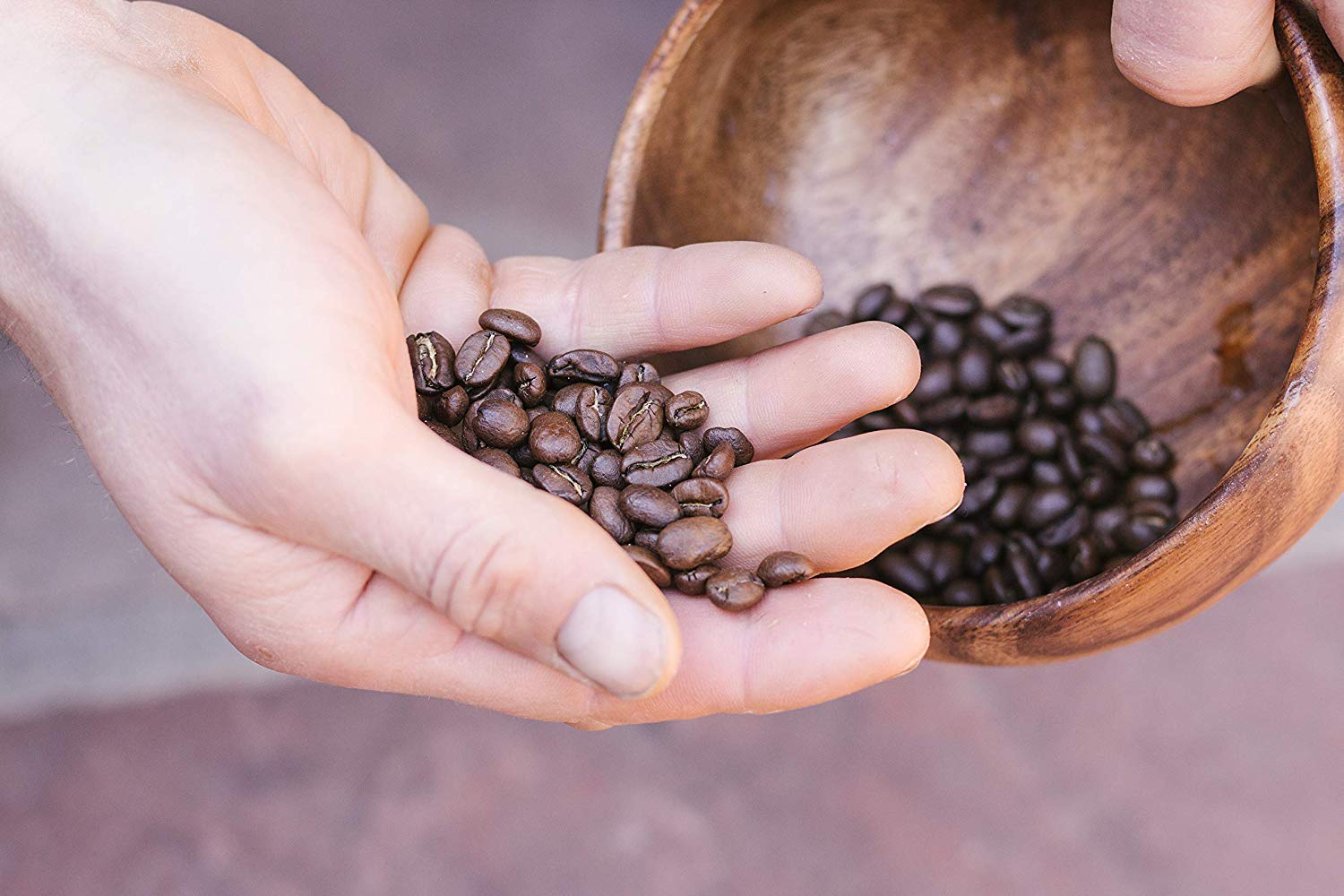 Kion Organic Coffee | Tested for Toxins | Roasted to Maximize Health ...