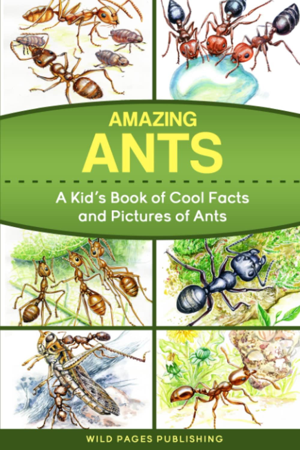 Amazing Ants. A Kid's Book of Cool Facts and Pictures of Ants ...