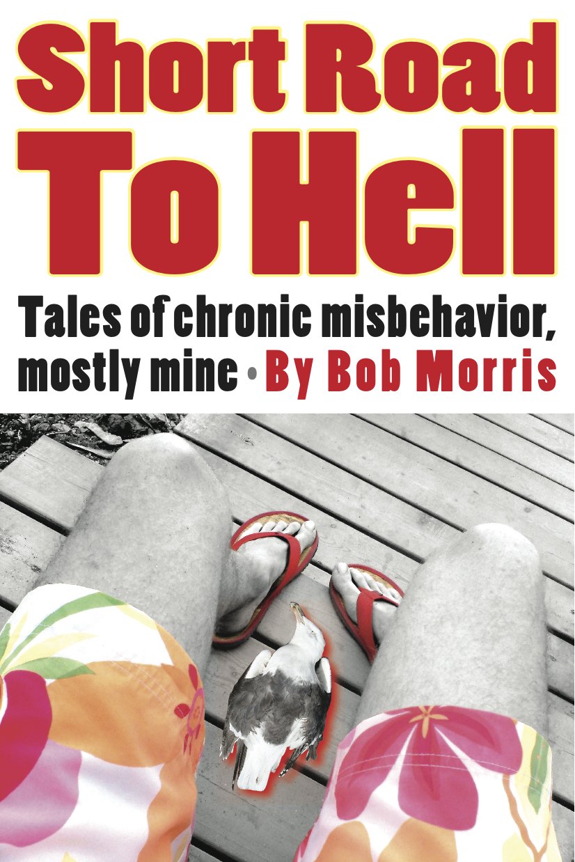 Amazon.com: Short Road to Hell: Tales of Chronic Misbehavior, Mostly ...