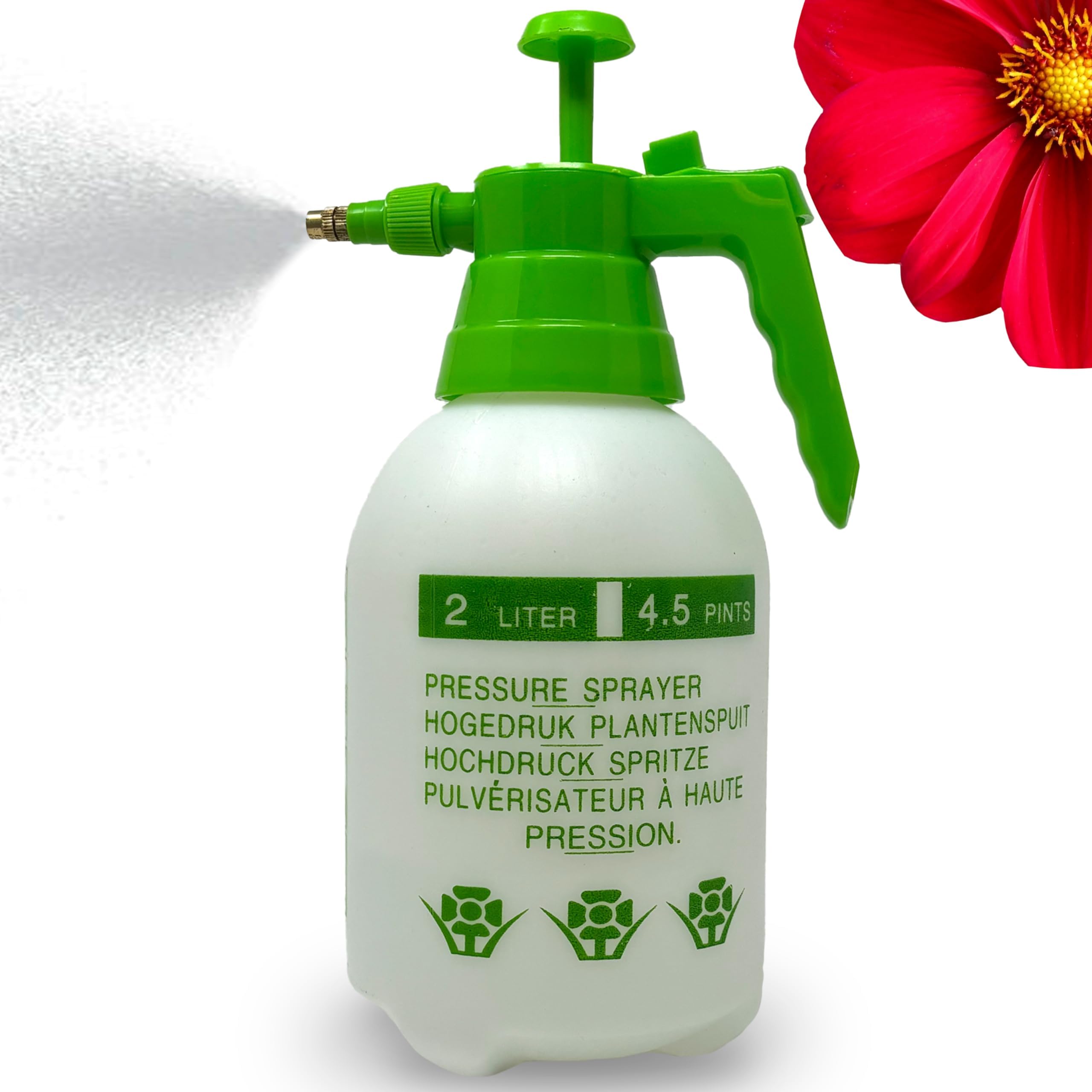 Amazon.com : Rainmaker 1/2 Gallon (2 Liter) Pressure Pump Sprayer ...