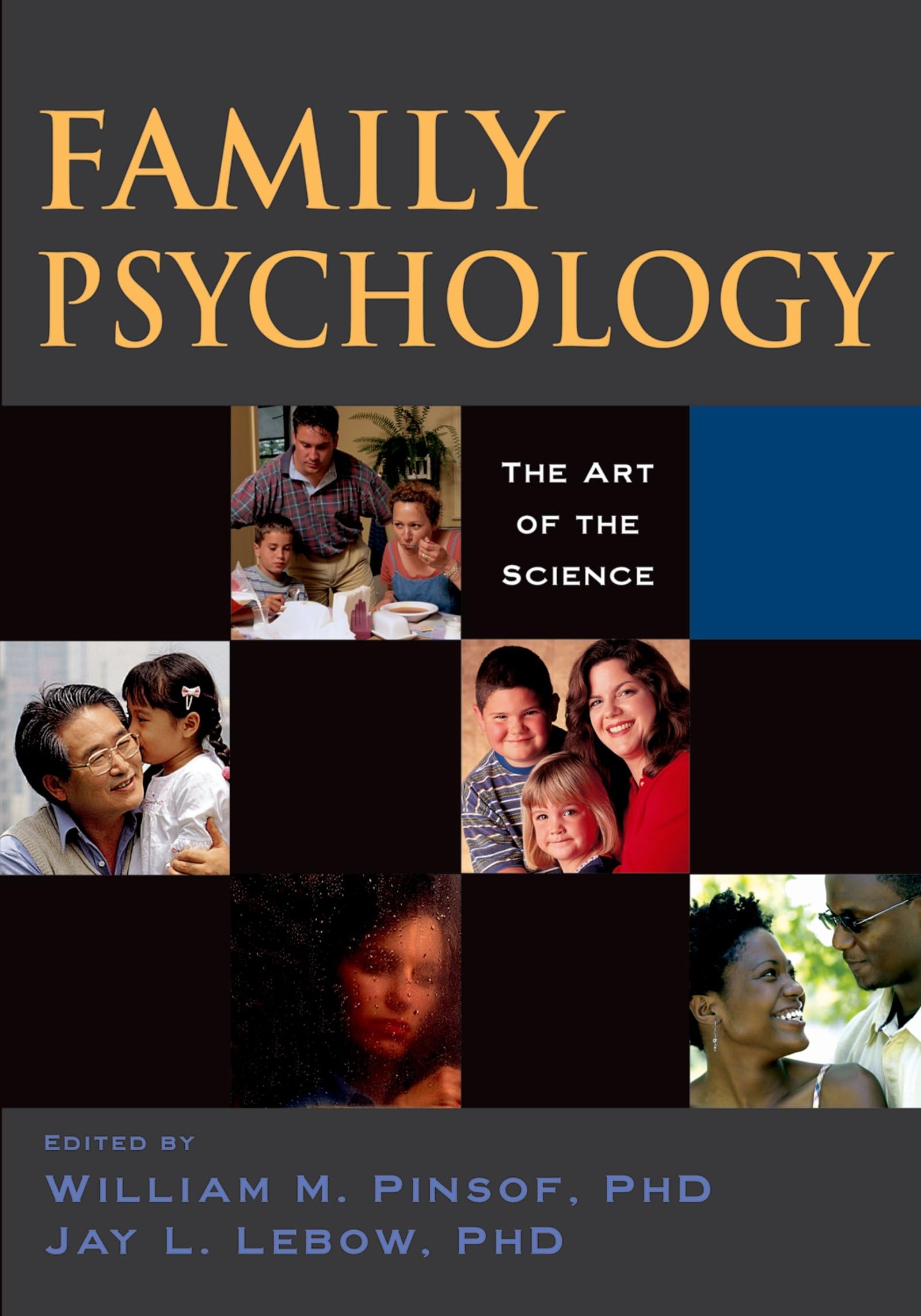 Amazon.com: Family Psychology: The Art of the Science (Oxford Series in ...