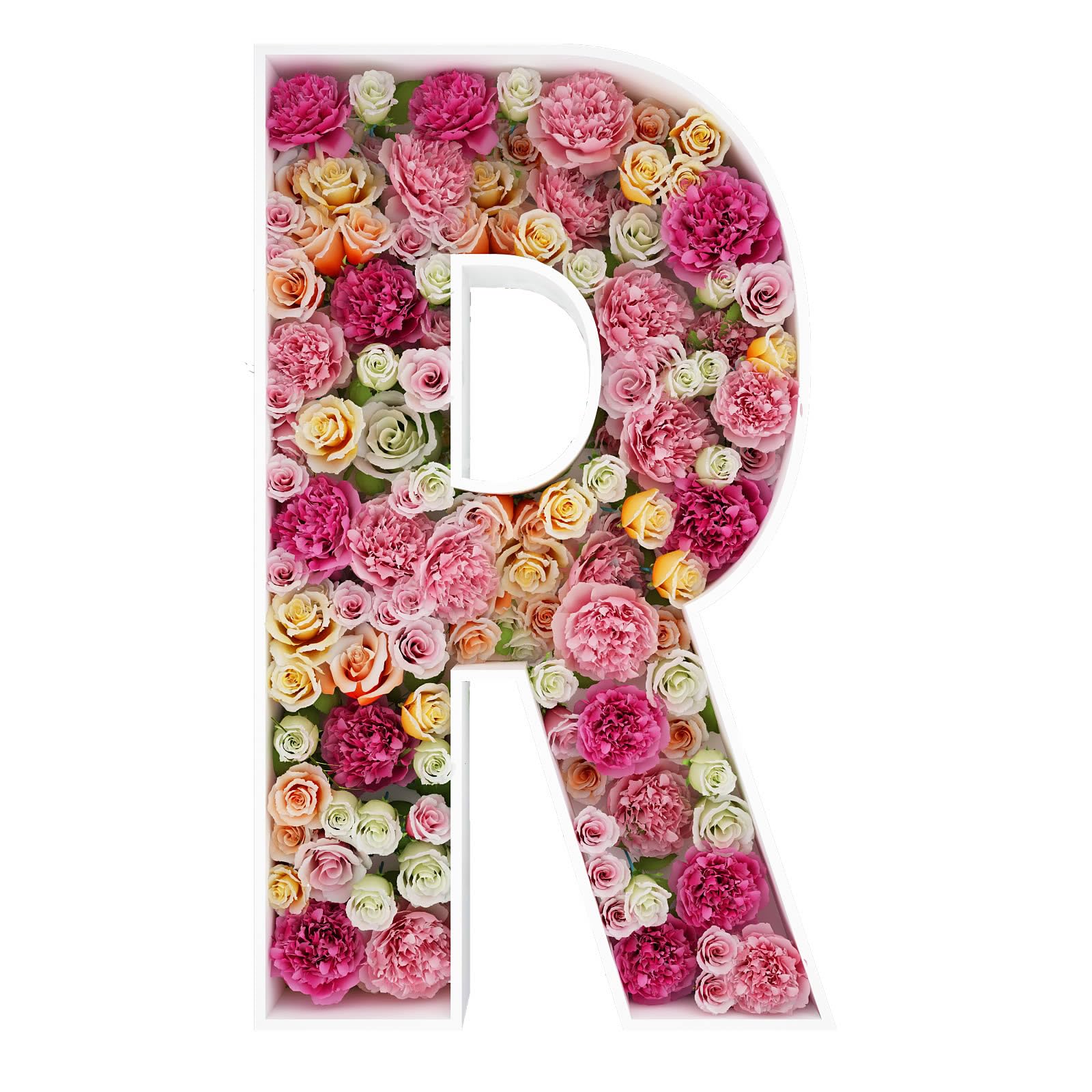 Amazon.com: 2FT Letter R Mosaic Balloon Frame Letter DIY Fillable ...