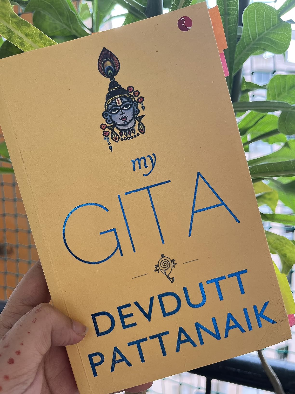 MY GITA : Devdutt Pattanaik: Amazon.in: Books