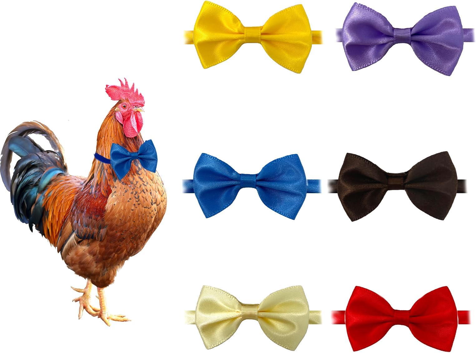 Amazon.com : ComiMag 6 Pieces Chicken Bow Ties Chicken Collar Rooster ...