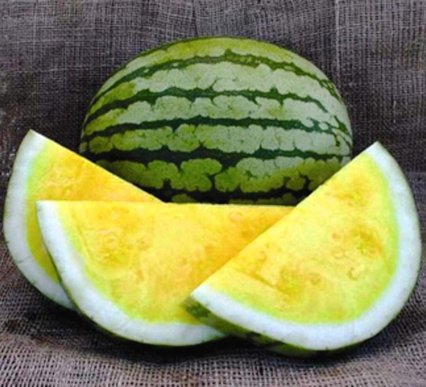 M-Tech Gardens Rare Hybrid Watermelon " Yellow Beauty " Exotic 10 Fruit ...