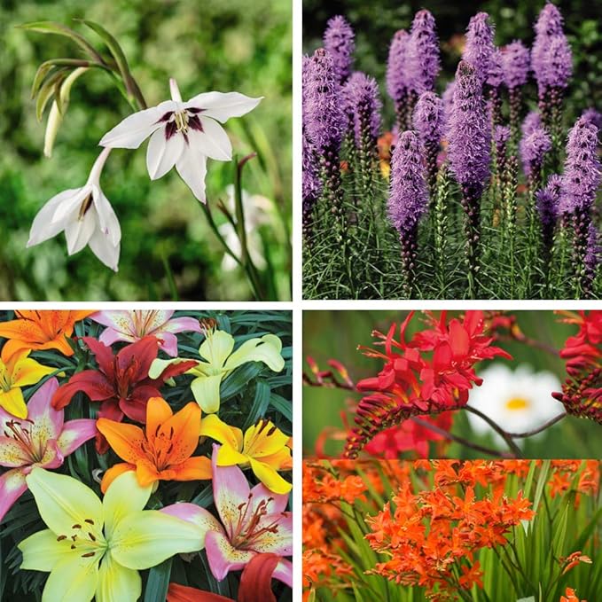 Wildlife Friendly Bulb Collection Perfect for Pollinators Bees ...