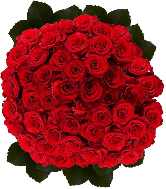 Amazon.com : 150 Fresh Cut Red Roses- Valentines Day Red Roses - Fresh ...