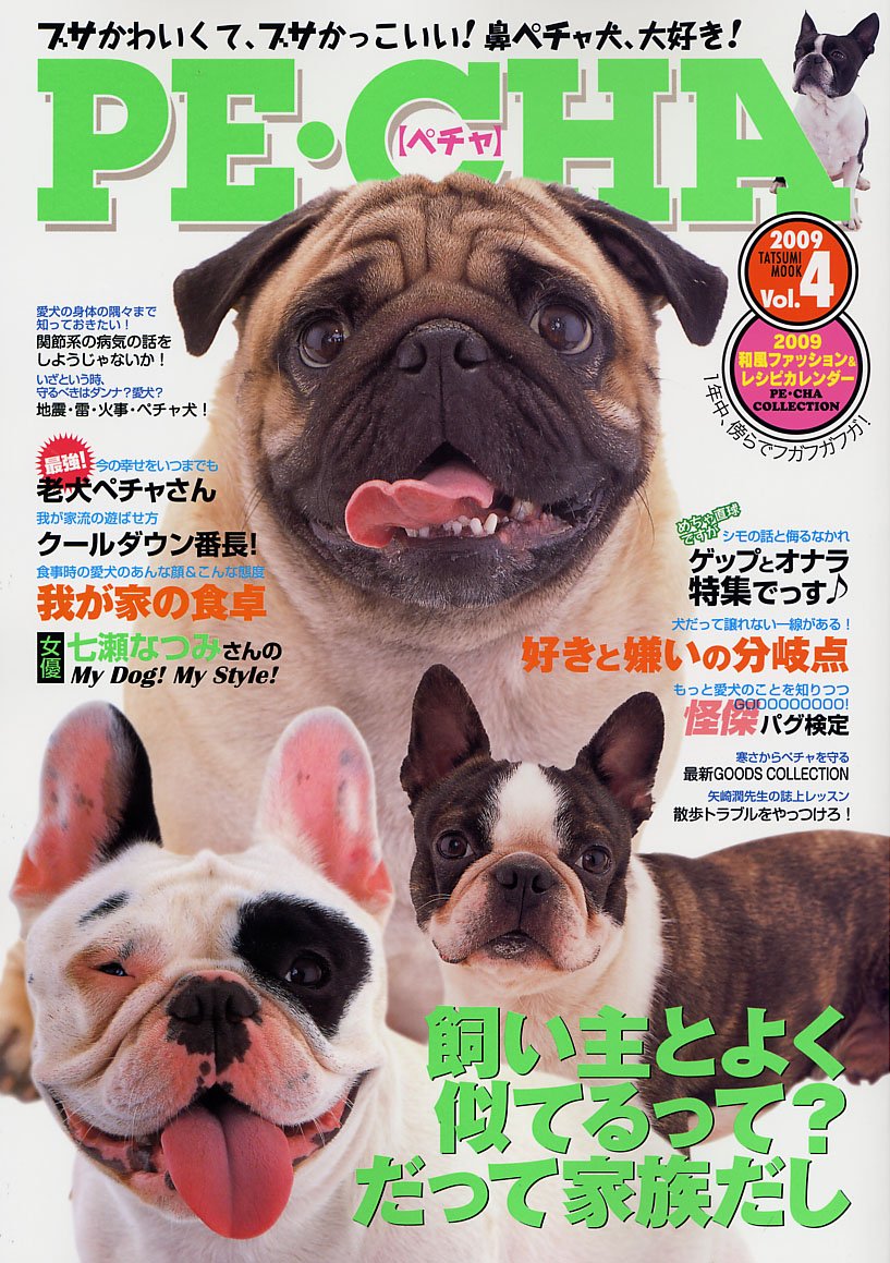 Amazon.co.jp: PE・CHA Vol.4 (タツミムック) : 本