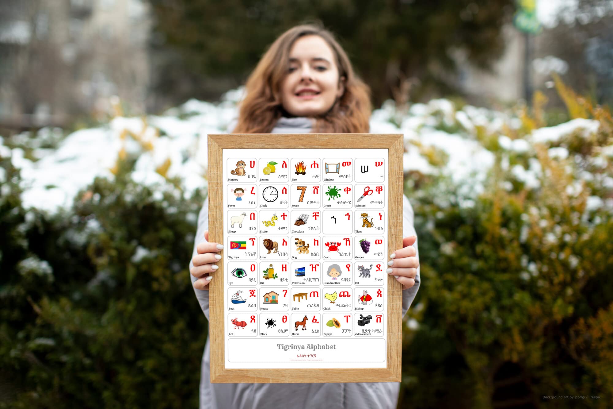 Amazon.com: TIGRINYA Alphabet POSTER Print With Words And English ...