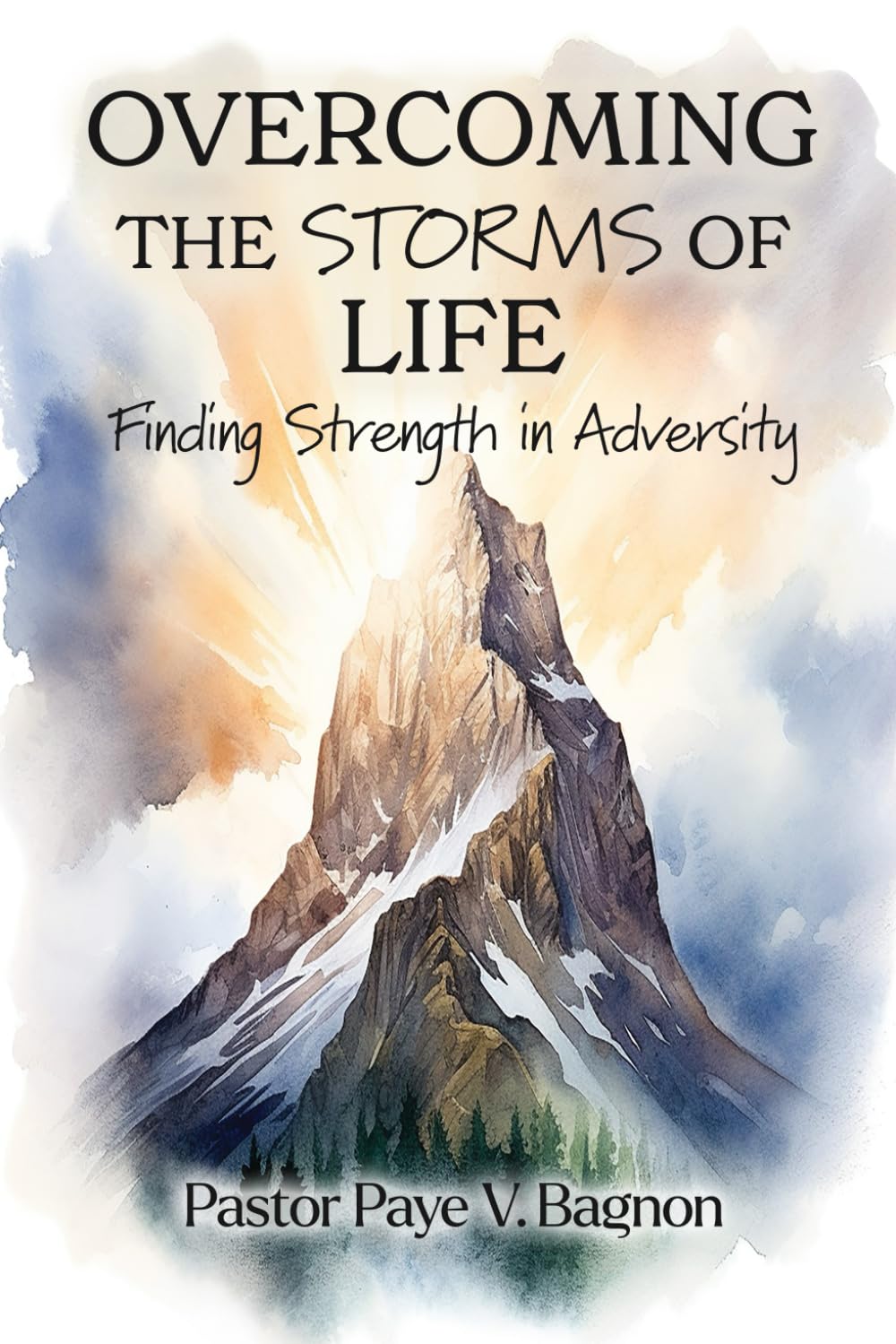 Amazon.com: Overcoming the Storms of Life: Finding Strength In Adversity: 9781648305207: Bagnon ...
