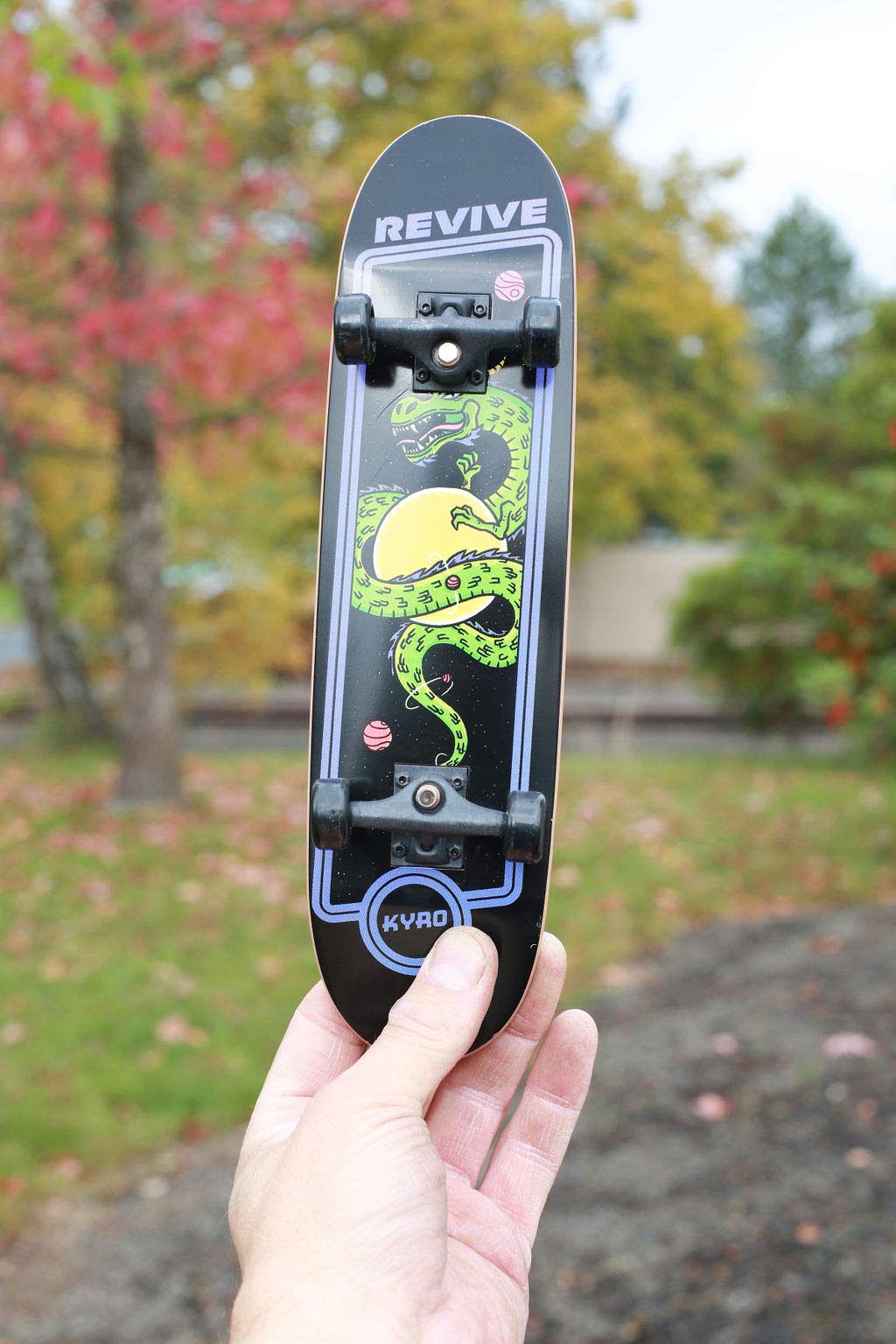 Fingerboard Complete Set Braille Skateboarding Dragon Pro Fingerboard ...