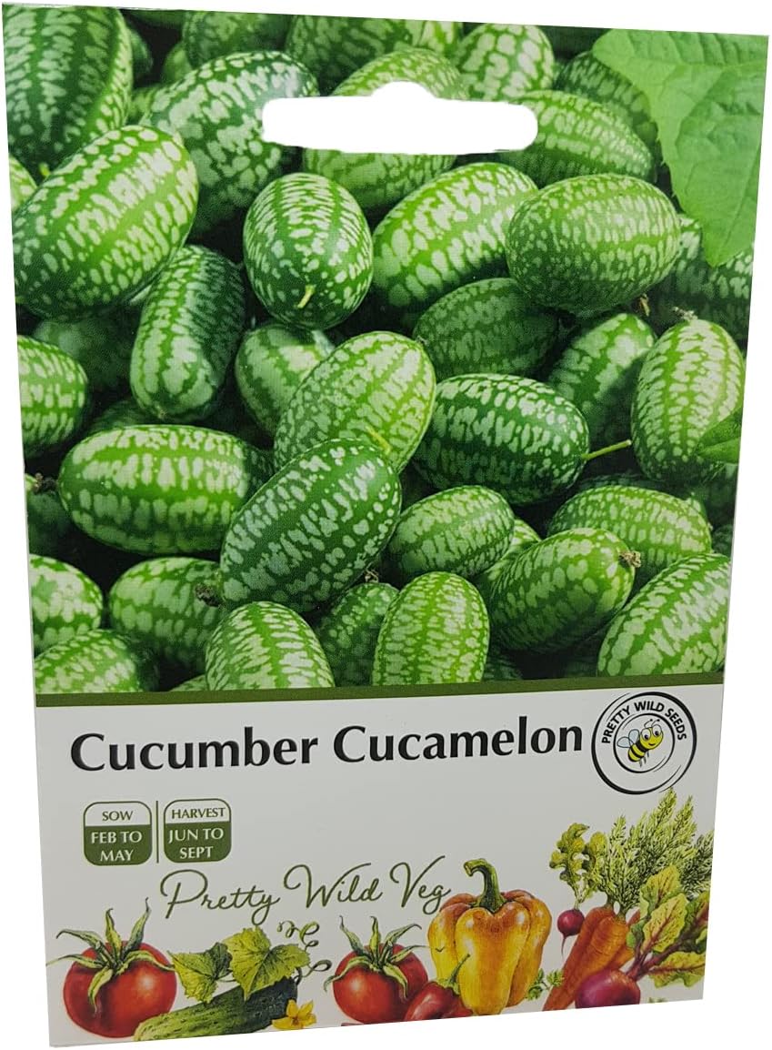 JustSeed - Vegetable - Cucamelon - 60 Seeds : Amazon.co.uk: Garden