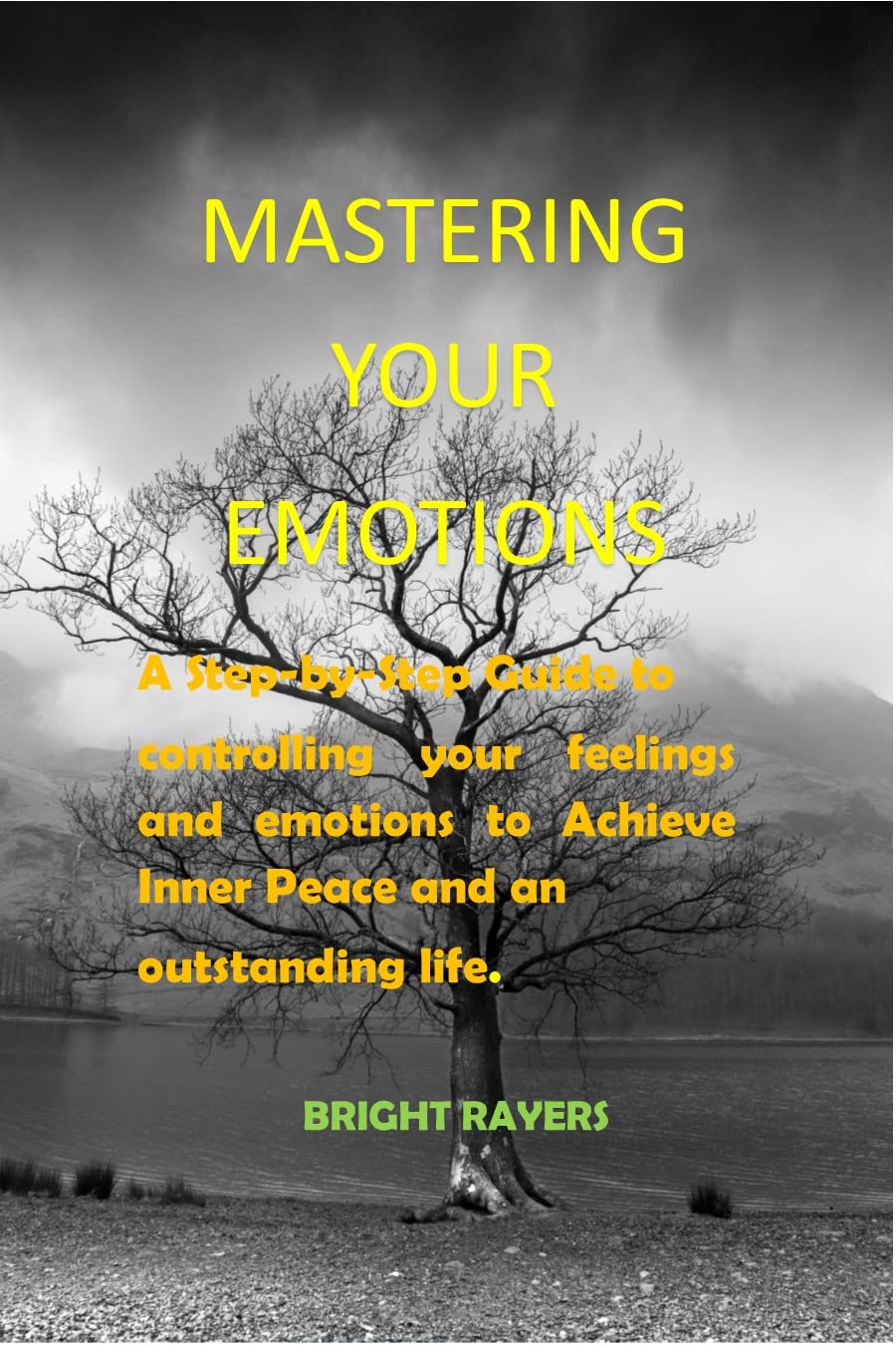 MASTERING YOUR EMOTIONS: A Step-by-Step Guide to controlling your ...