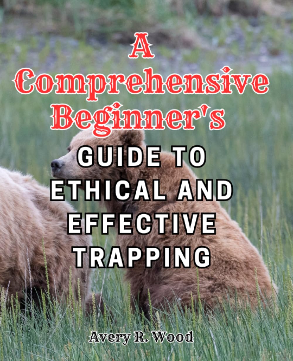 Amazon.com: A Comprehensive Beginner's Guide to Ethical and Effective ...
