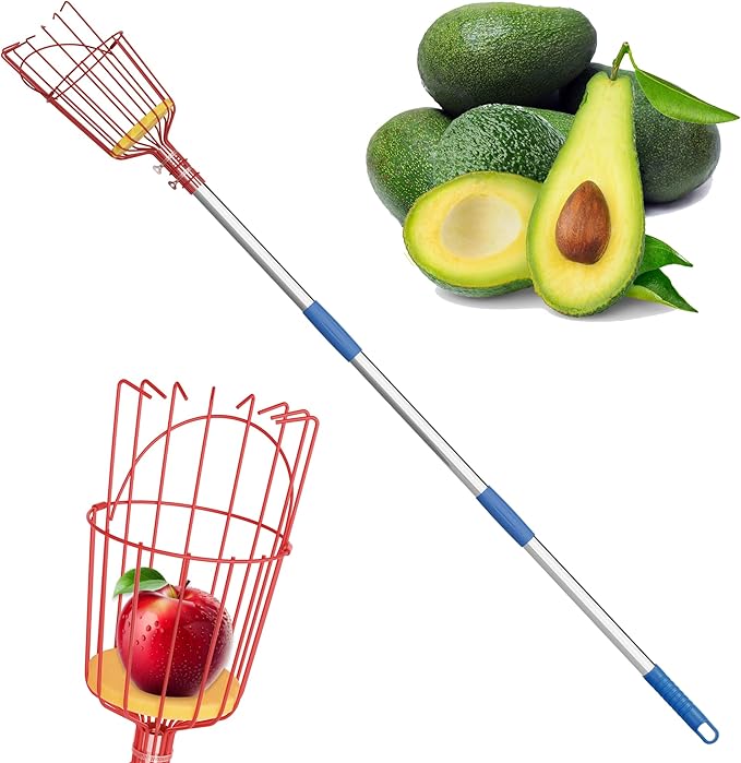 Amazon.com : MANXRKUI Fruit Picker Tool 10 ft Long, Extendable Fruit ...
