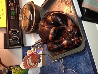 Amazon.com: The Briner - The Ultimate Brine Container (2, 22 qt / 8 qt ...