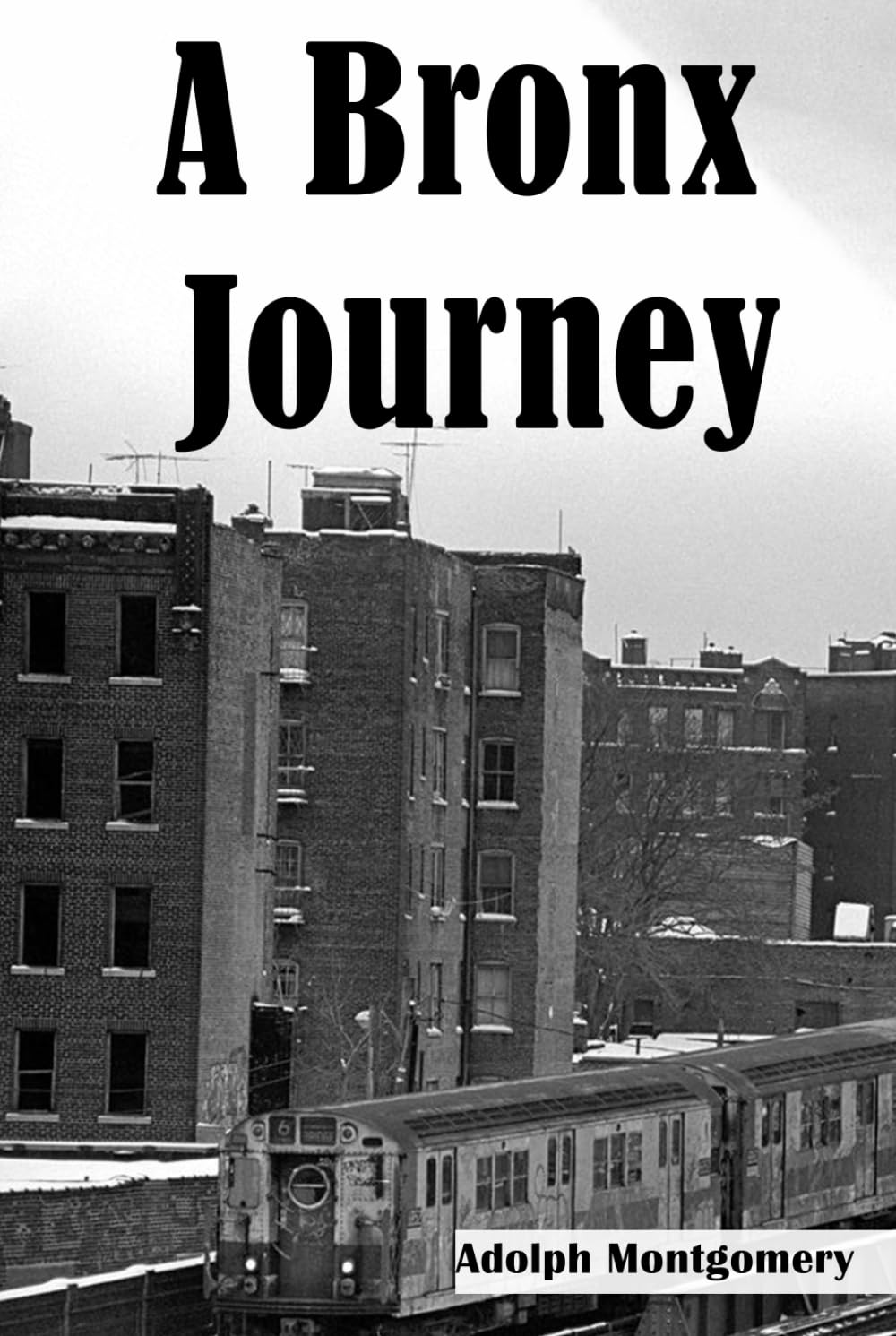 A Bronx Journey: Montgomery, Adolph: 9781917317795: Amazon.com: Books