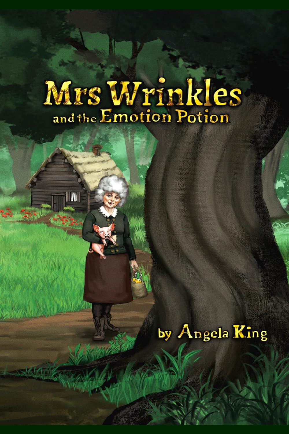 Amazon.com: Mrs Wrinkles and the Emotion Potion: 9781838317409: King ...