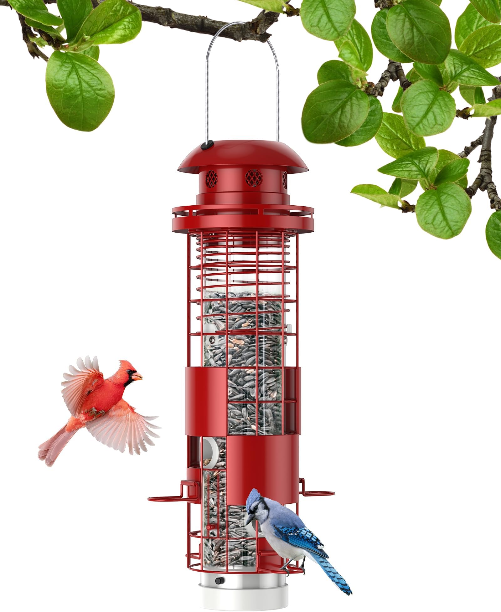 Amazon.com : Squirrel-Proof Spinning Wild Bird Feeder for Outside ...