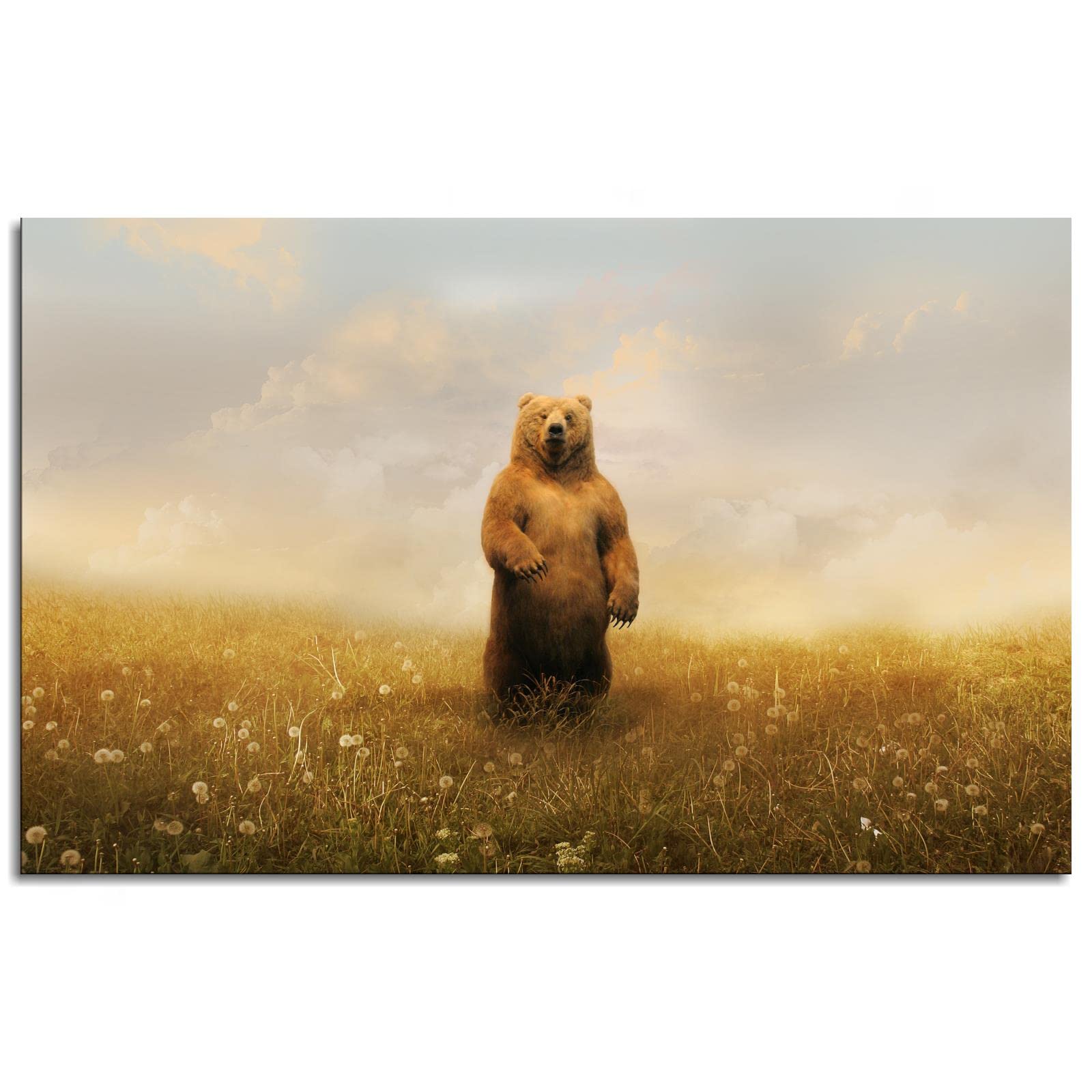 Grizzly Bear Standing On Hind Legs