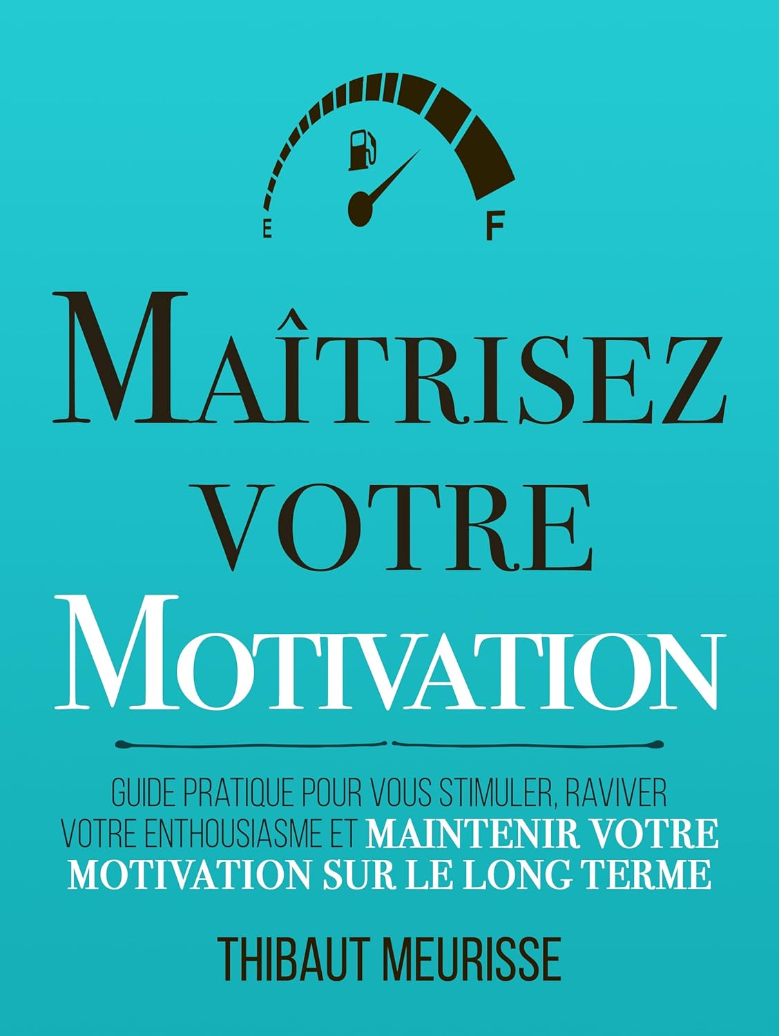 Maîtrisez votre motivation : Guide pratique pour vous stimuler, raviver ...