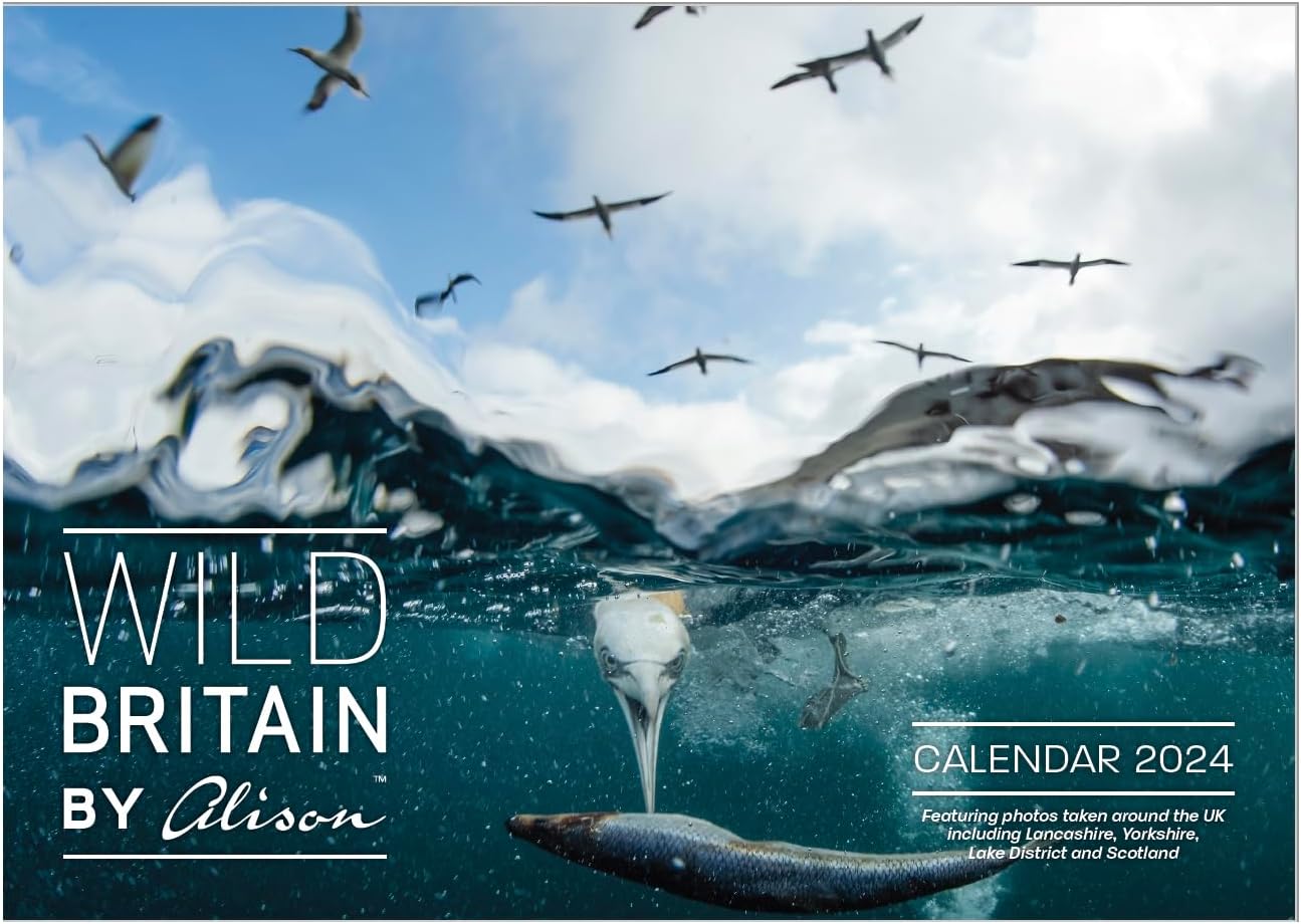 By Alison 2024 Calendar Wild World Wildlife Calendar A3 Wall Calendar ...