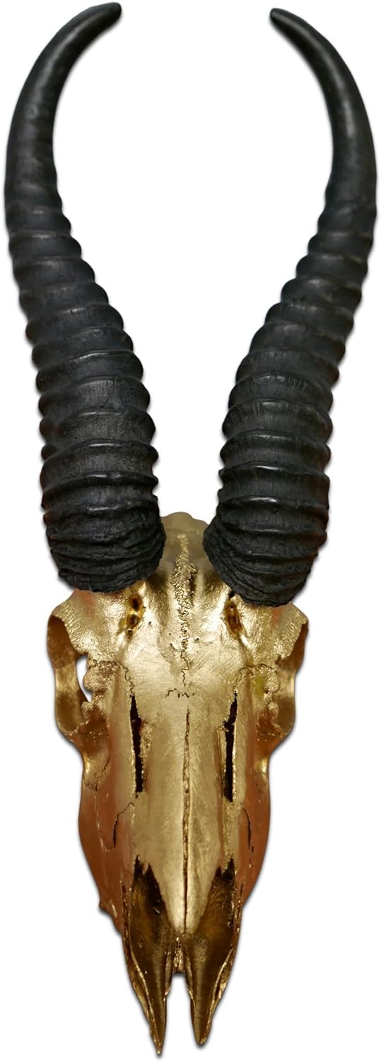 Real Springbok Skull Gold Spray Painted Metal Bracket African Antelope ...