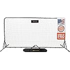 Amazon.com : Flair Sports Pitch Back Baseball Softball Lacrosse ...