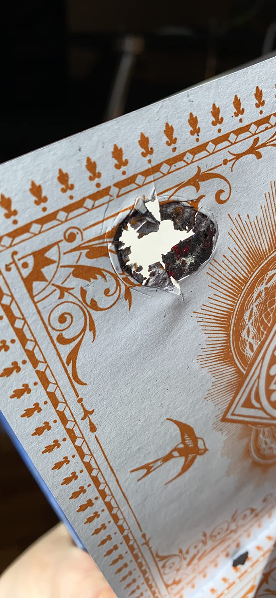 The Antiquarian Sticker Book (Over 1,000 Exquisite Victorian Stickers ...