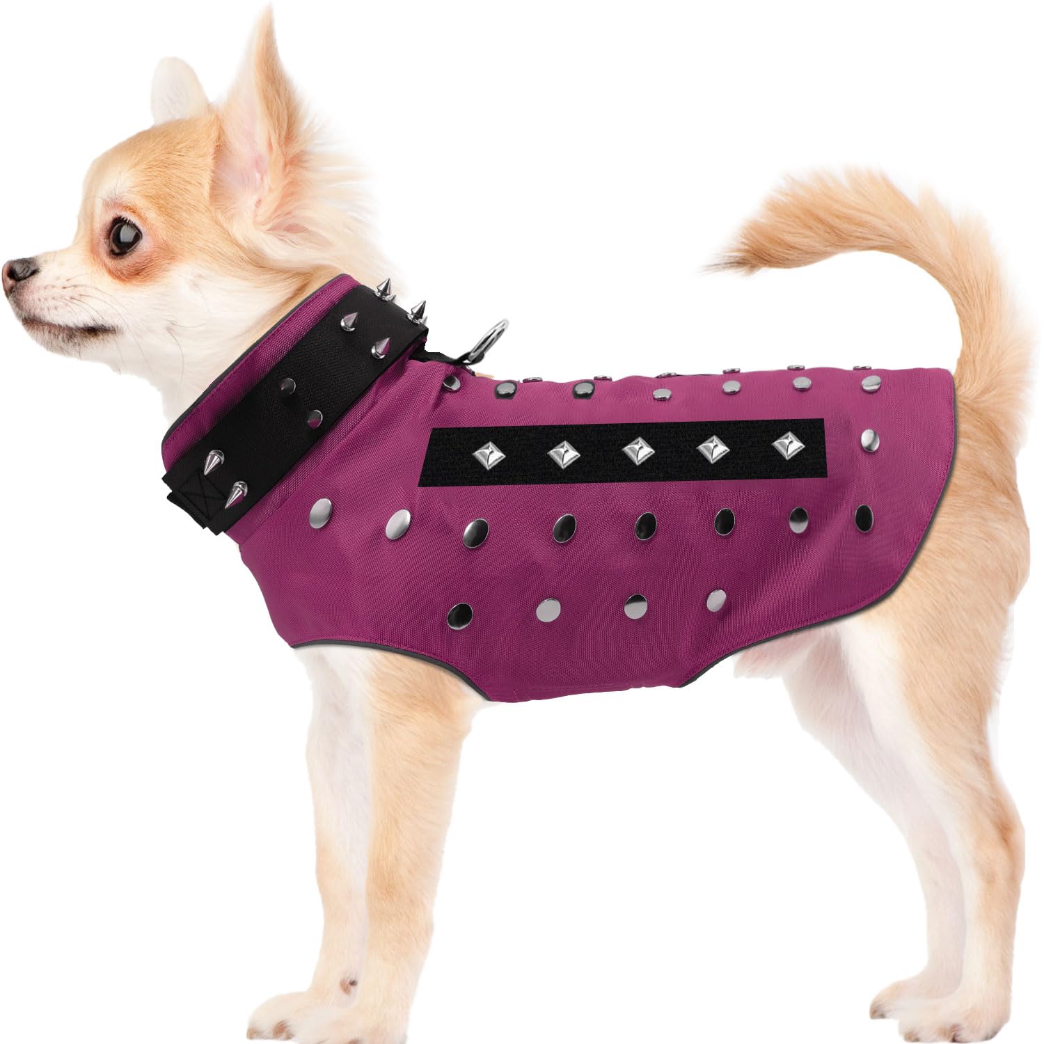 Amazon.com : Removable Spike Coyote Proof Dog Vest with Leash Hole ...