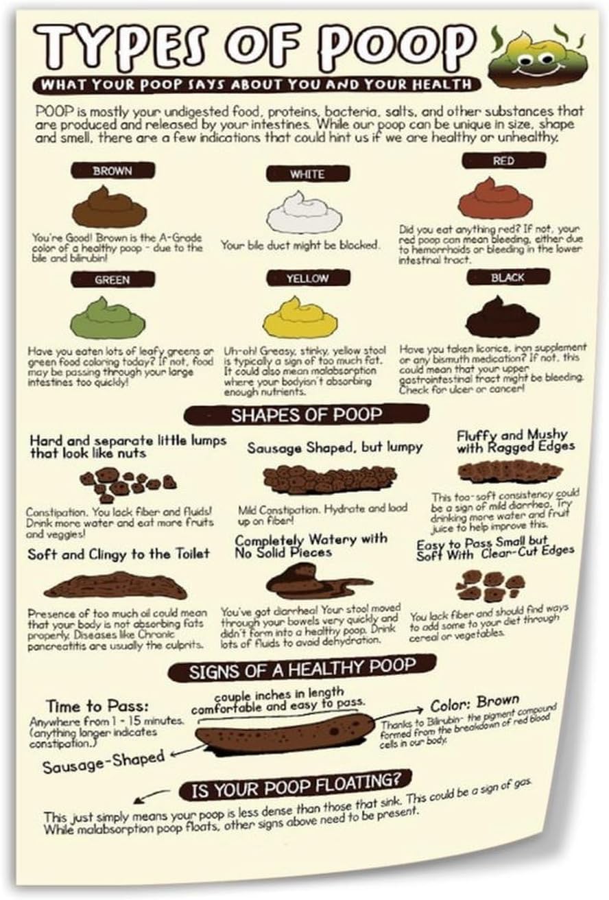 Amazon.com: BRISTOL STOOL CHART, Types of Poop Art Painting Poster7Wall ...